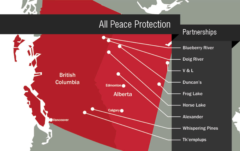 About All Peace Protection | All Peace Protection